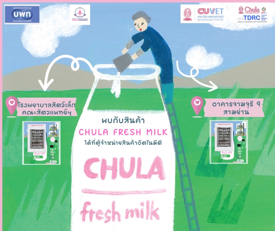 Chula Fresh Milk