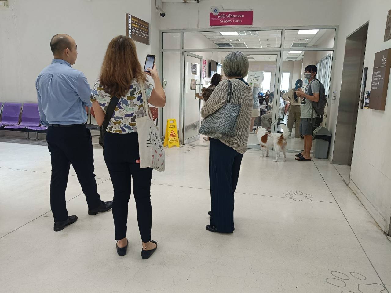 Future collaboration with Mars Veterinary Health & CUVET