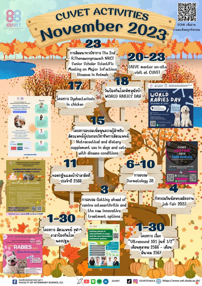 Activities for November 2023. What's this month?