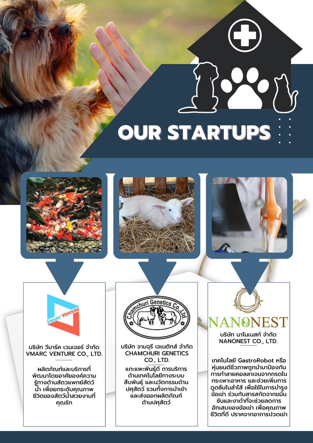 CUVET Enterprise Co., Ltd. and 15 teams startups from the Faculty of Veterinary Medicine ...
