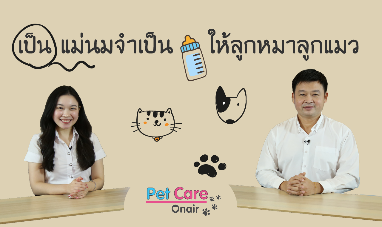 แม่นมจำเป็นสำหรับลูกหมาลูกแมว